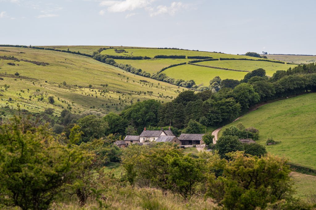 Exmoor Farms: A Year on the Moor - The Exmoor Society