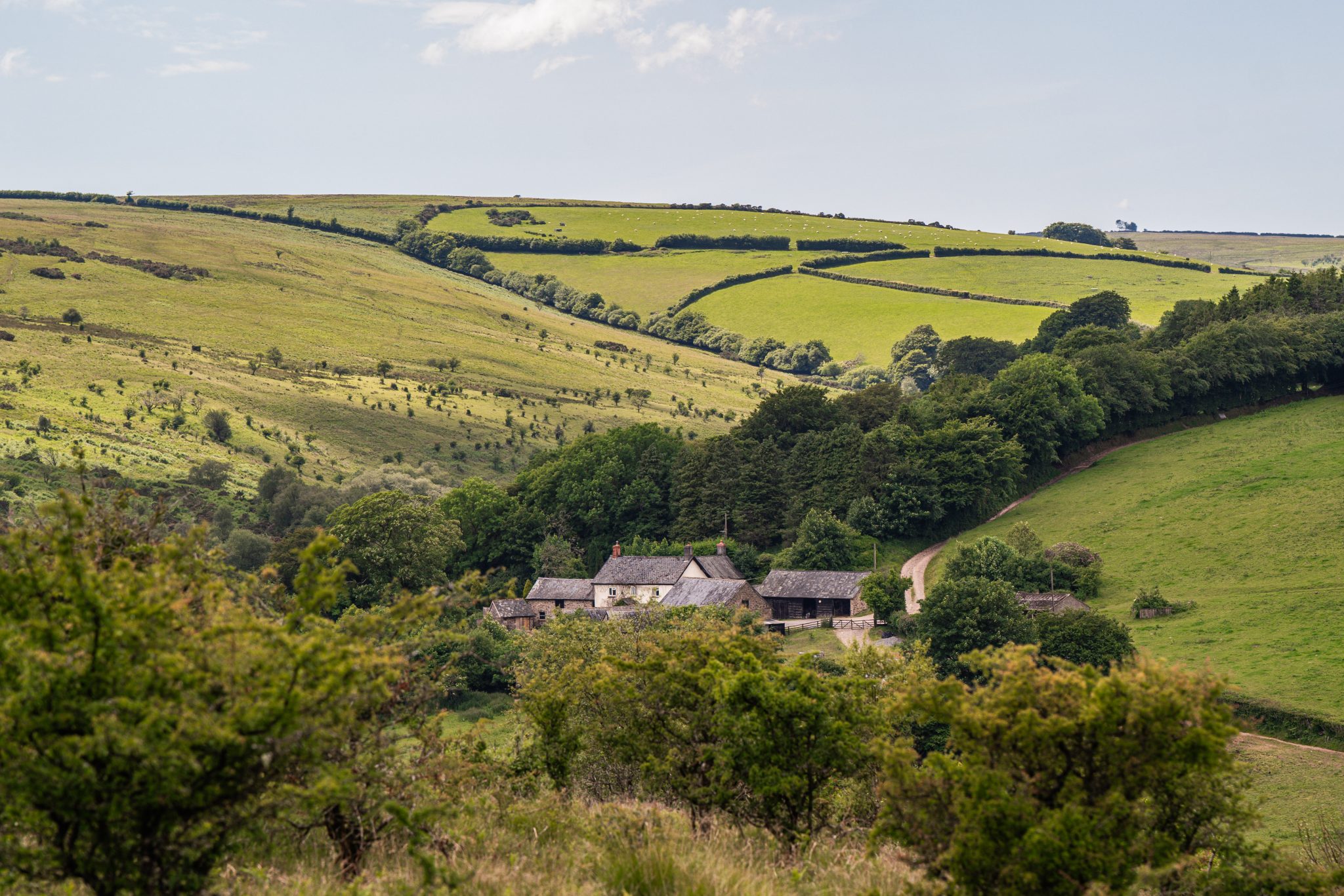 Exmoor Farms: A Year on the Moor - The Exmoor Society