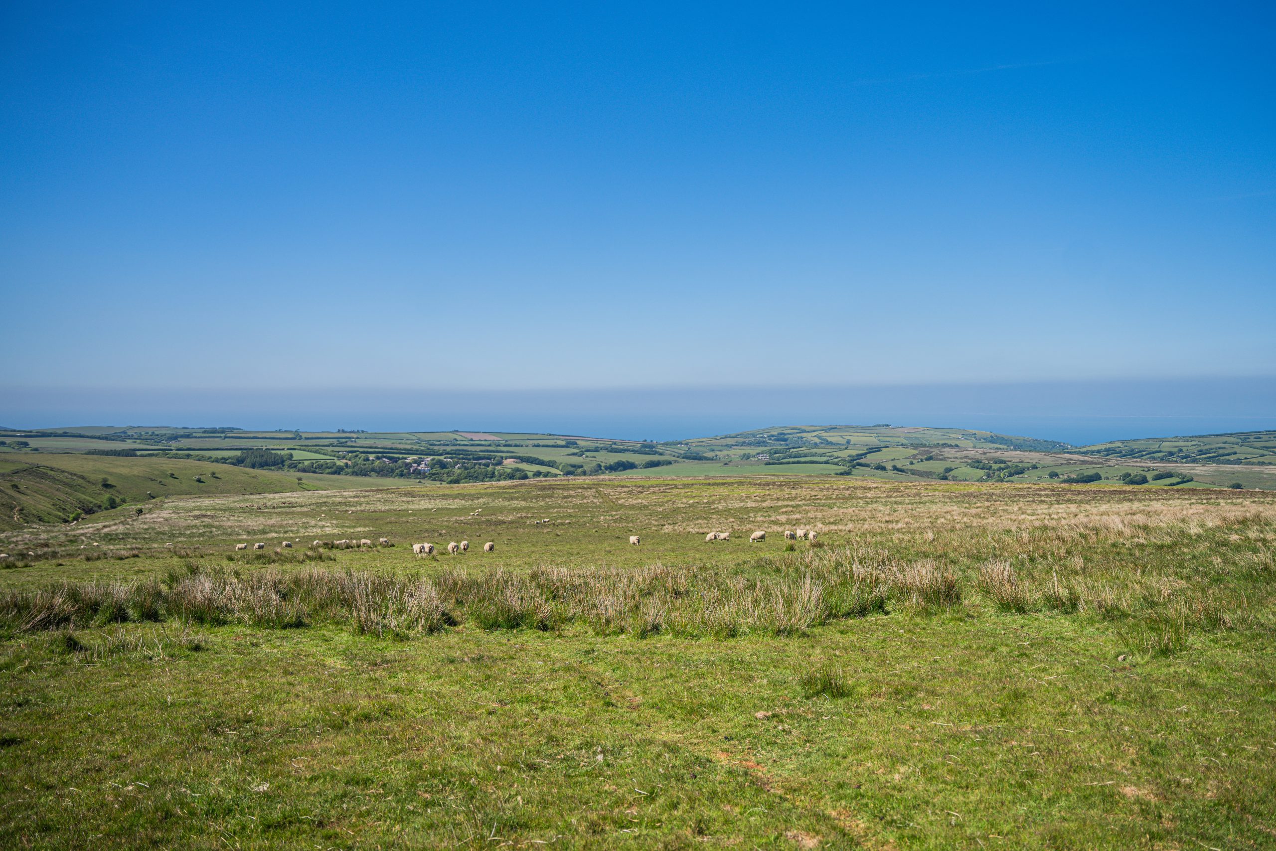 Exmoor Farms - A Year on the Moor - The Exmoor Society
