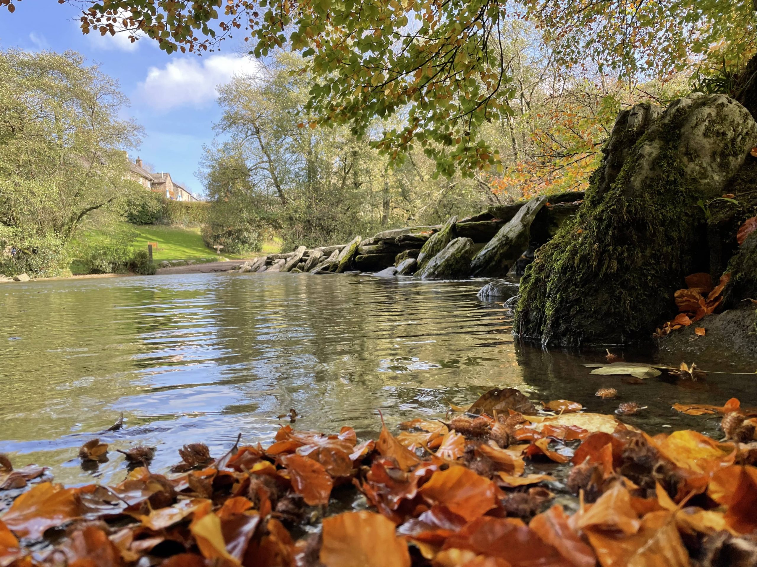 The Archive Award - The Exmoor Society