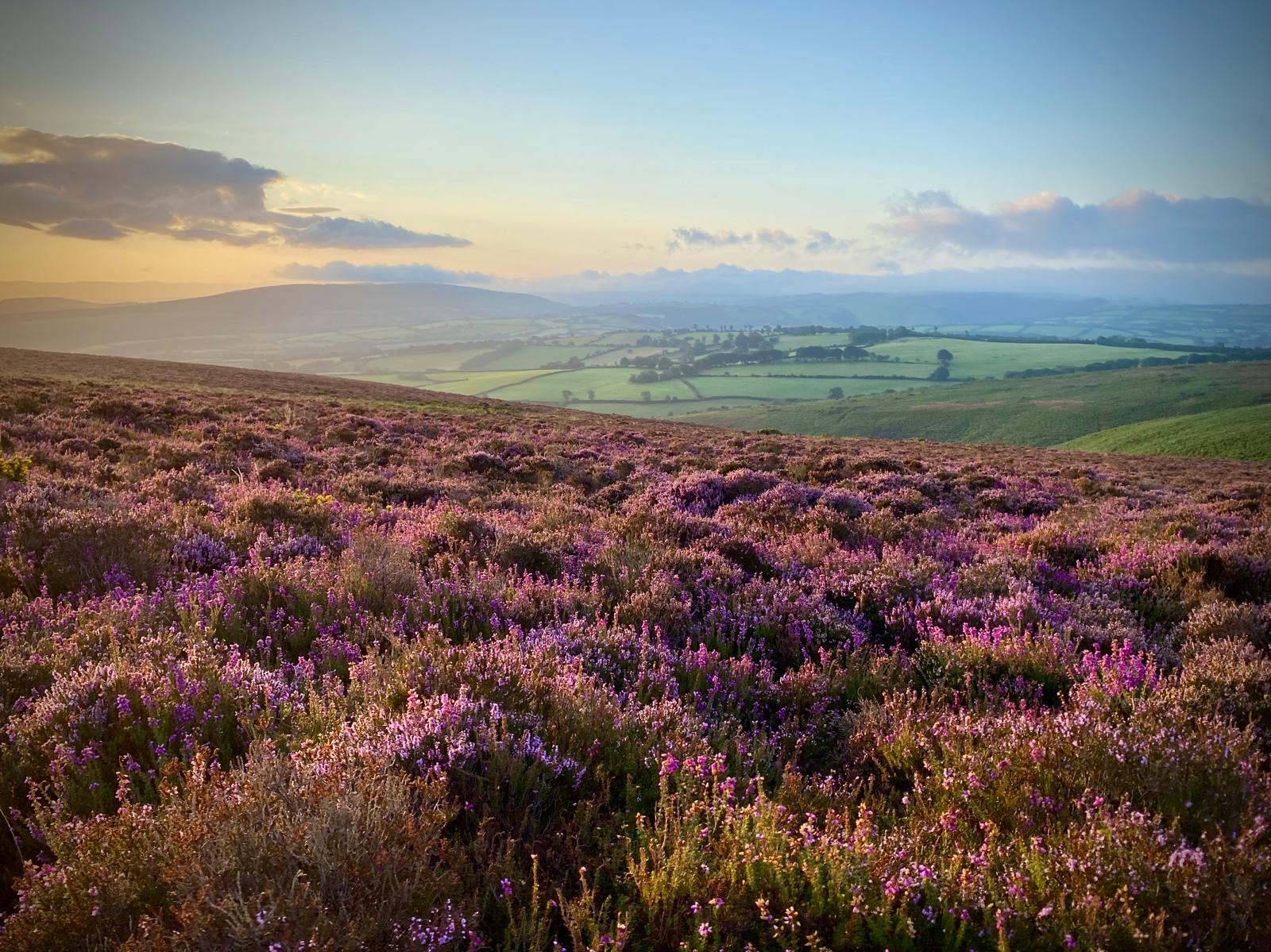 The Planning and Infrastructure Bill - The Exmoor Society